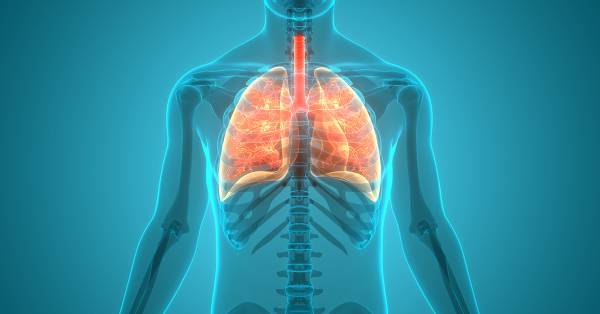 Fibrose Pulmonar: o que é, sintomas e tratamento