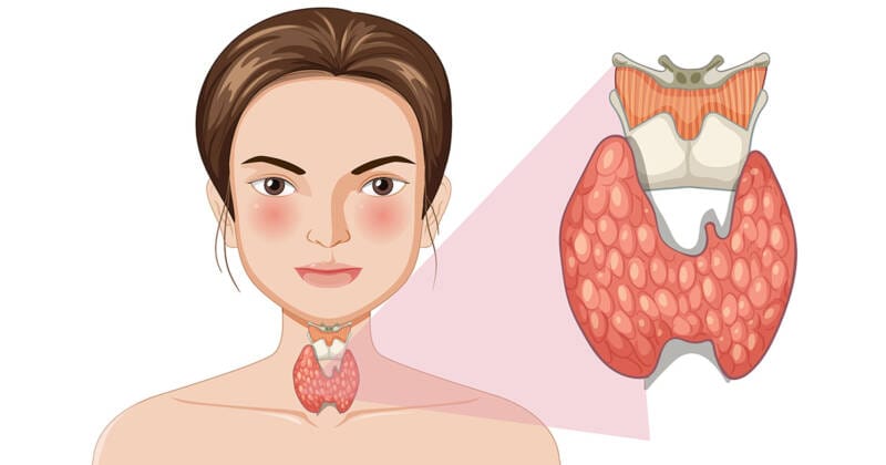 Tireoide: guia completo sobre a glândula e doenças relacionadas